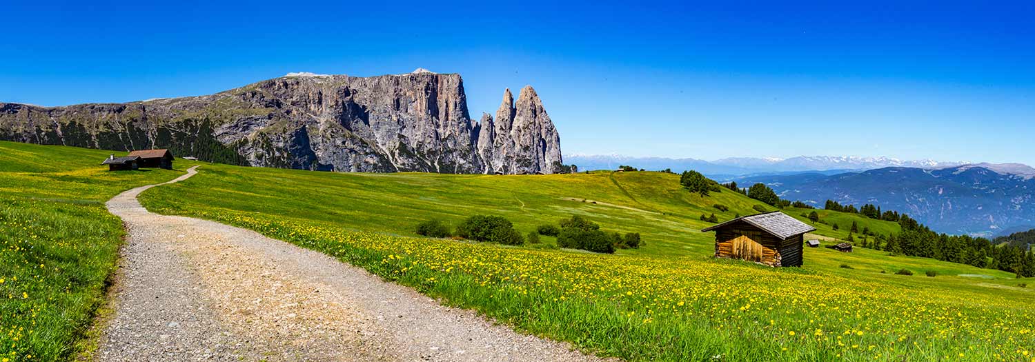 Seiser Alm in Südtirol | die besten Urlaubstipps